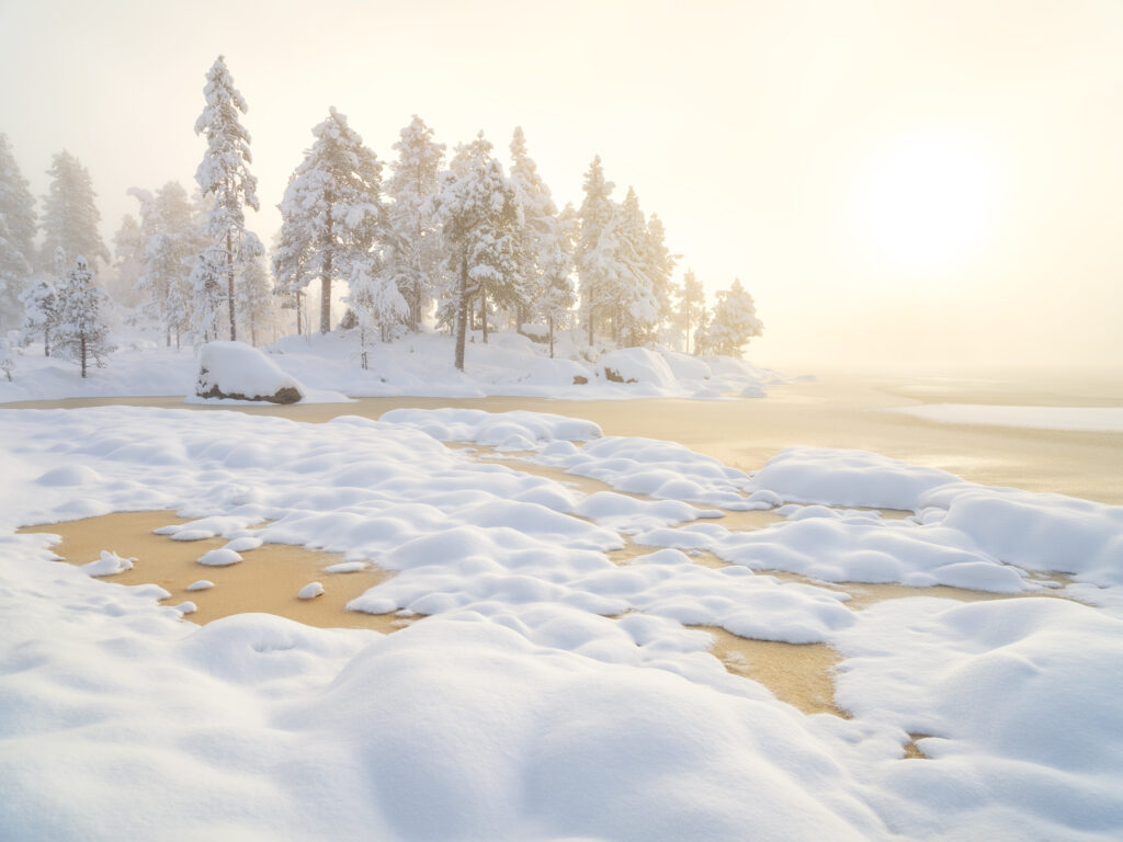 Frozen Tarn - Hotagens Nature Reserve - Magnus Lindbom